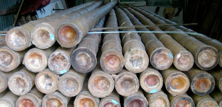 Materias primas bambú Costa Rica - Materiales sostenibles construcción