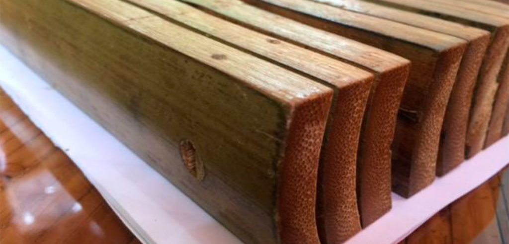 Materias primas bambú Costa Rica - Materiales sostenibles construcción